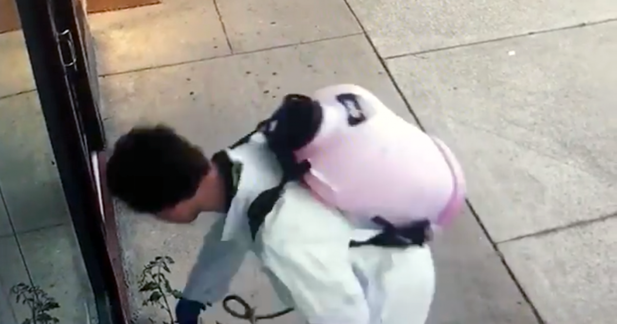 Hawker outrage: Fingers pointed at Government after Tom cut down in ...