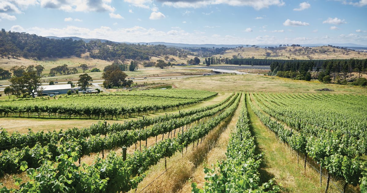 Australia’s largest community-owned solar farm set to rise in Majura ...