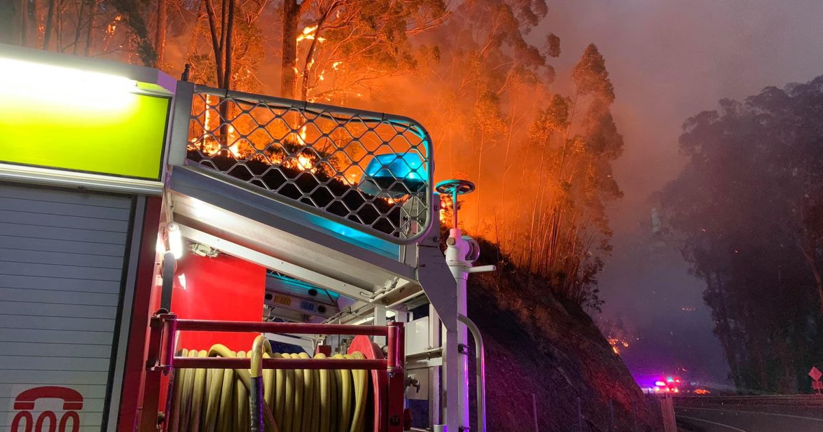 'It felt like the whole world was on fire': five years on, we're all ...