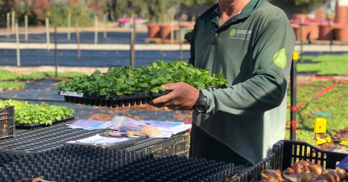 Follow the Floriade Reimagined tulip trail with interactive map ...