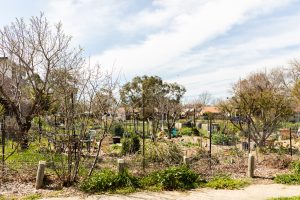 See Narrabundah Differently | Region Canberra