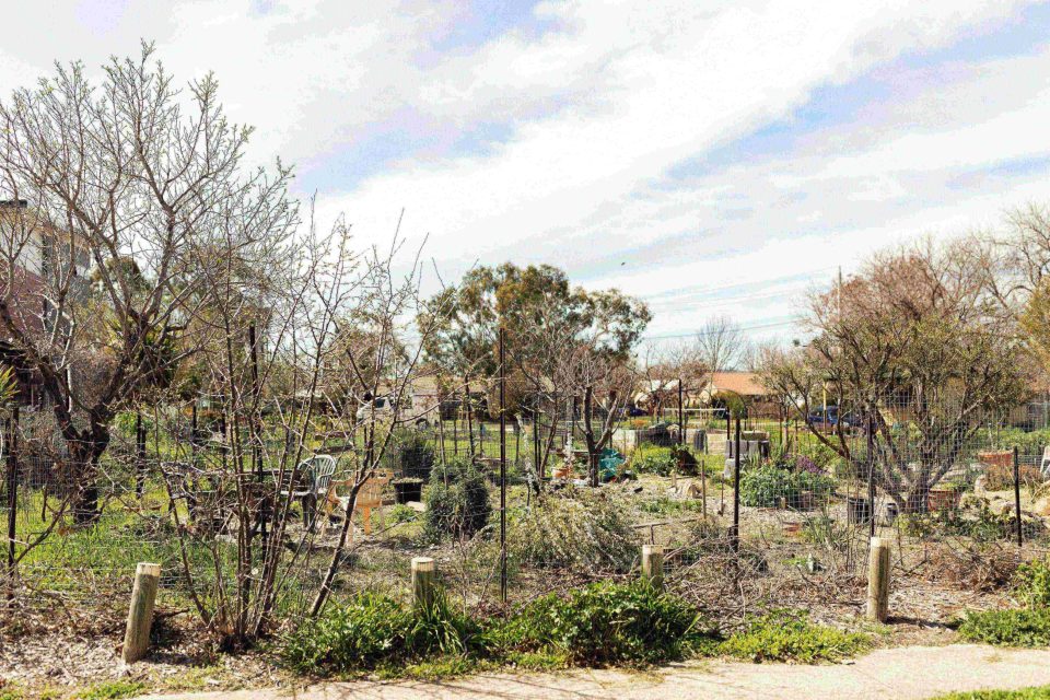 See Narrabundah Differently | Region Canberra