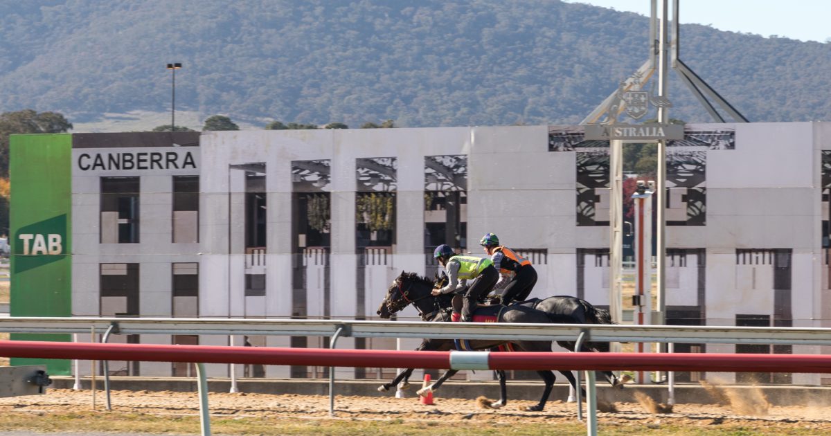 Canberra's horse-racing boss prepares to hand over the reins | Region ...