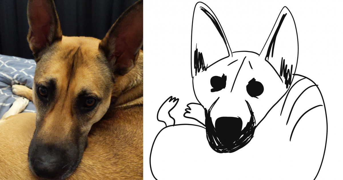 Poorly-drawn pet portraits a huge drawcard for RSPCA ACT charity drive ...