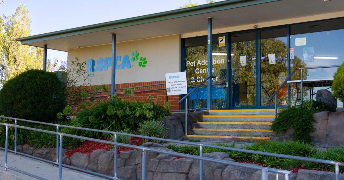 RSPCA staff eager to get into new $40-million shelter 'as quickly as ...