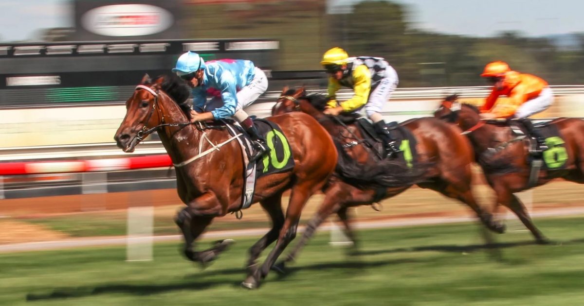 Canberra Racing Club is preparing for a Super Sunday you'll never ...