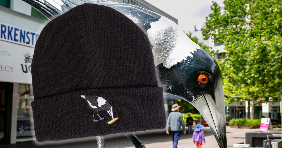 Civic's 'Big Swoop' magpie sculpture now comes with its own merch ...