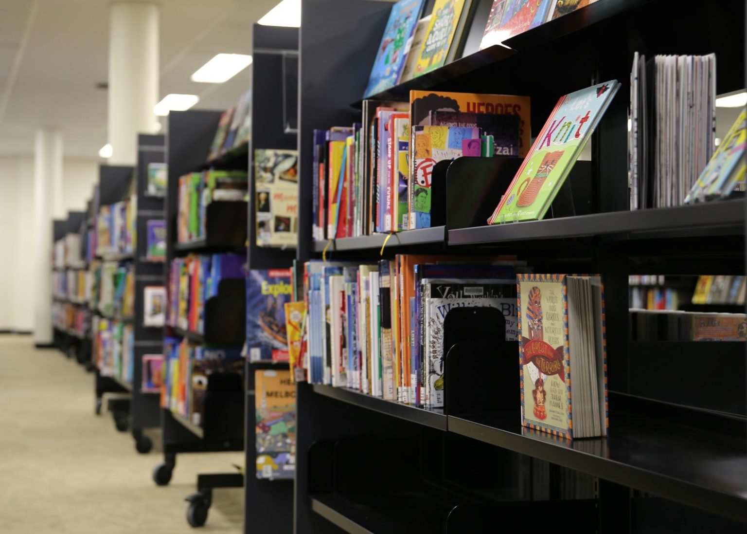 ACT libraries are falling behind the rest of the nation, says petitioner | Region Canberra