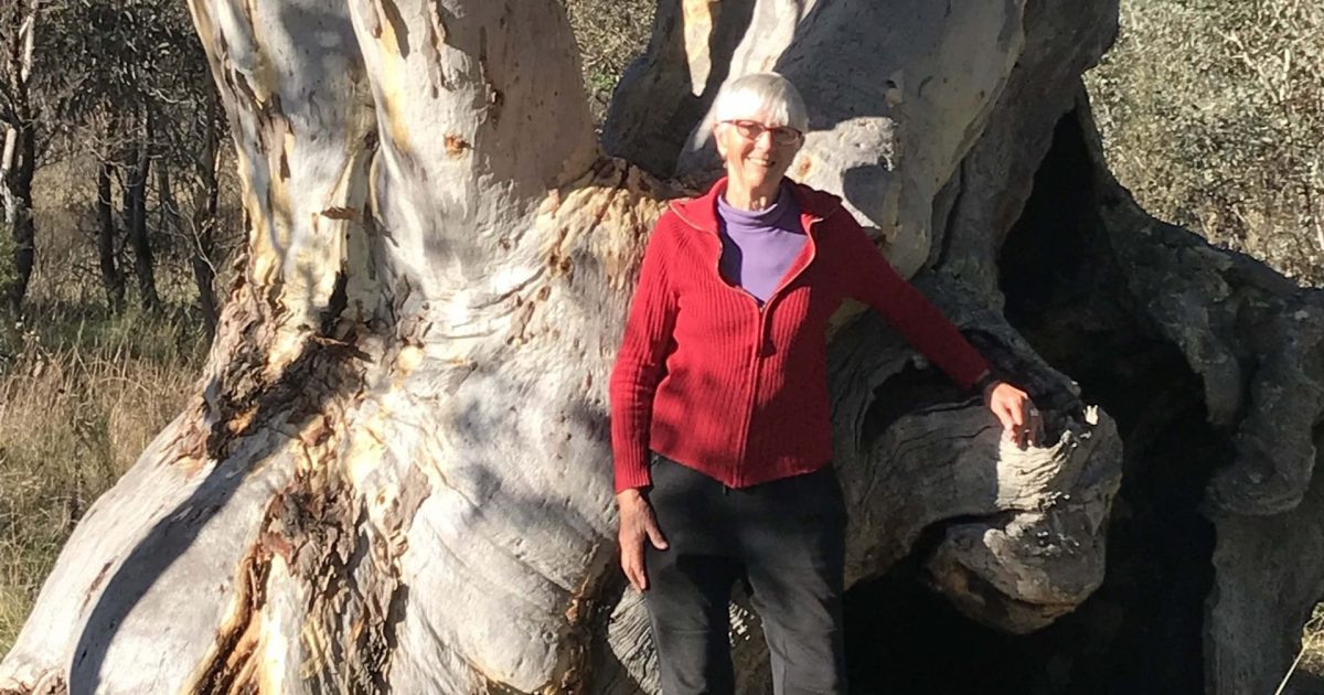 Group faces legal hurdle in bid to overturn crematorium approval ...