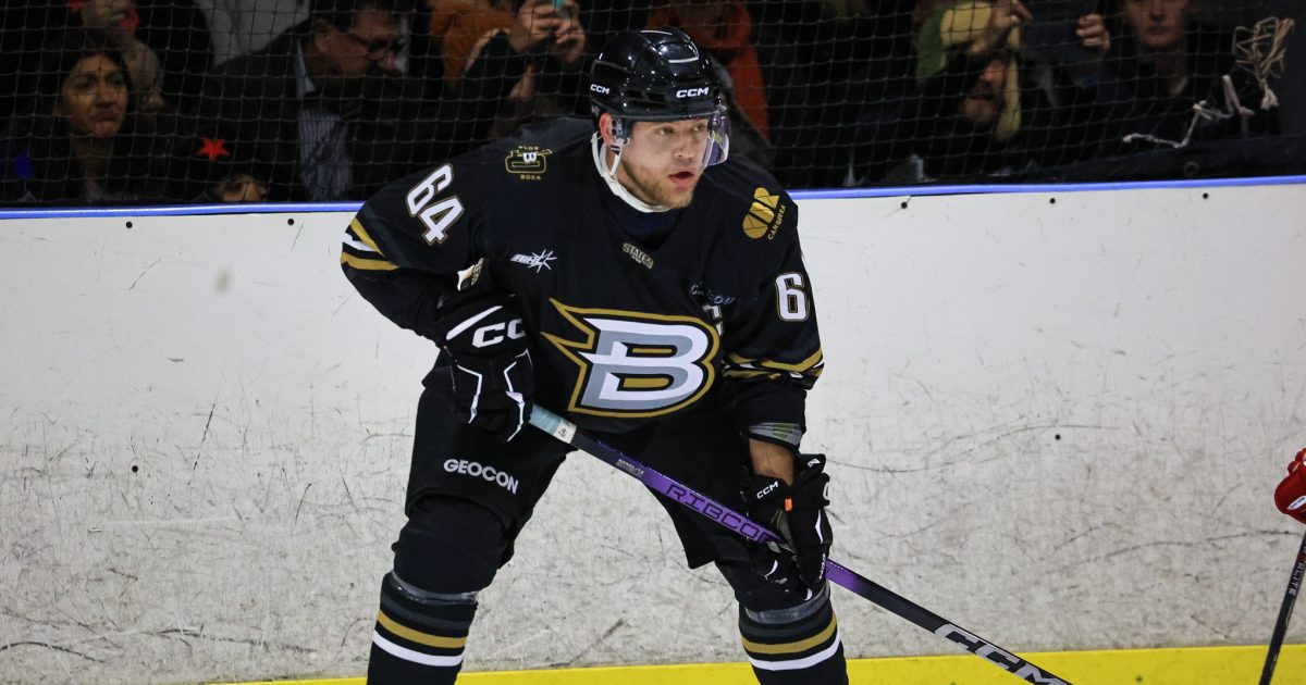 Canberra Brave v Sydney Bears | Region Canberra