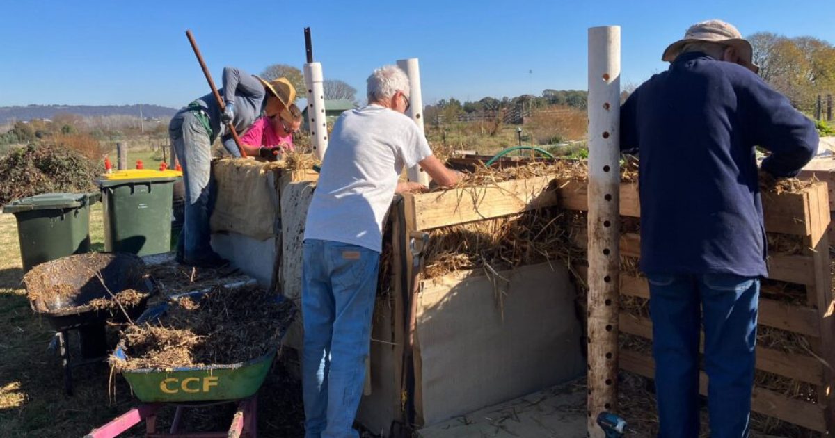 Food for thought: ACT Greens pledge produce hub to grow local ...