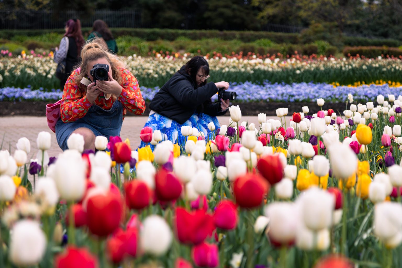 Floriade puts a spring into the national capital's step | Region Canberra