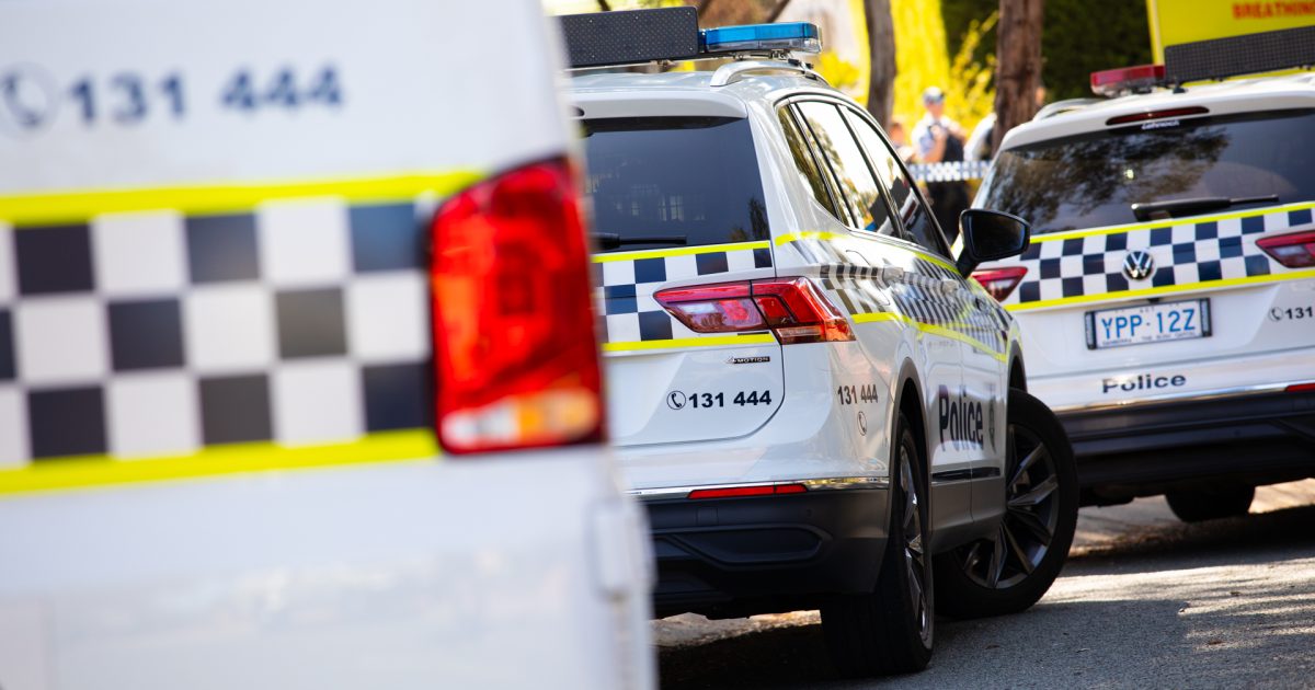 Driver arrested after allegedly ramming two police cars during chase ...