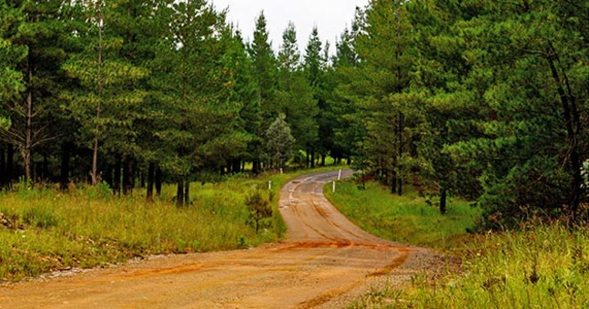 Kowen Forest town centre: unsustainable urban sprawl or visionary ...
