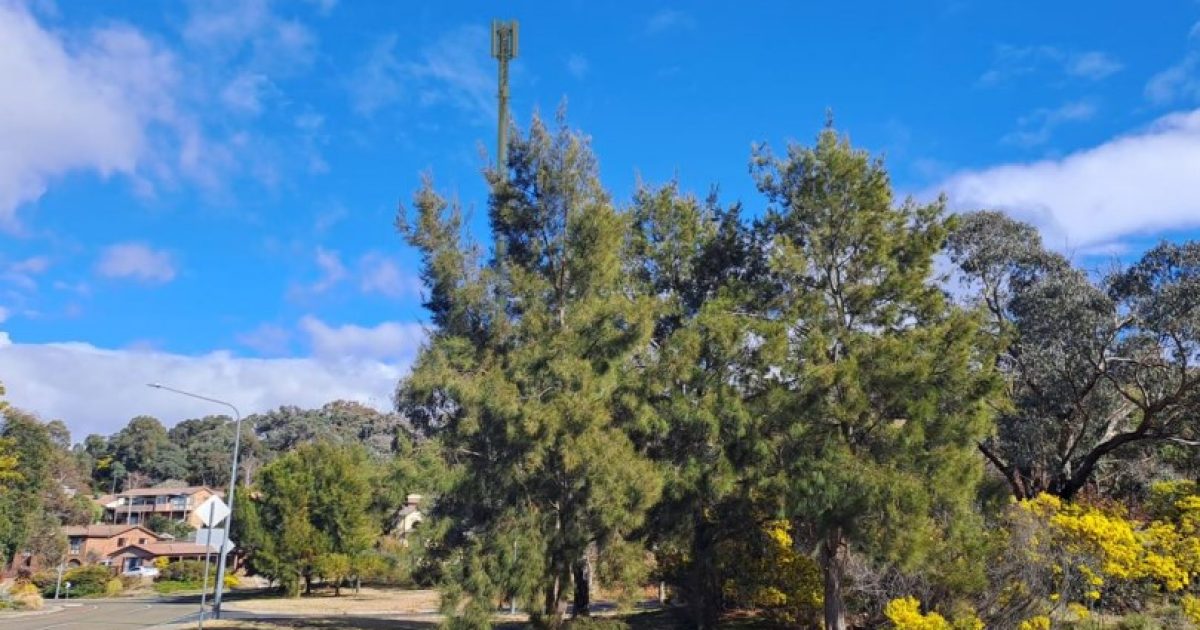 Community, MLAs rail at phone tower sited in 'prized recreational ...