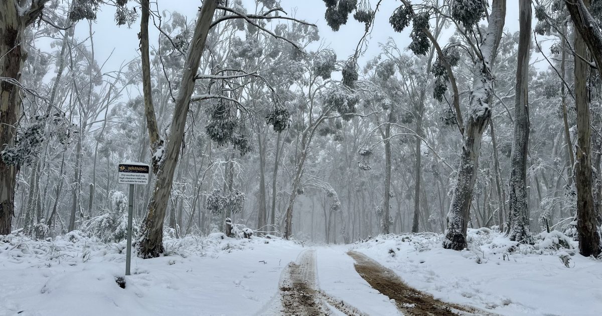 Snow season gets off to the best start in years | Region Canberra