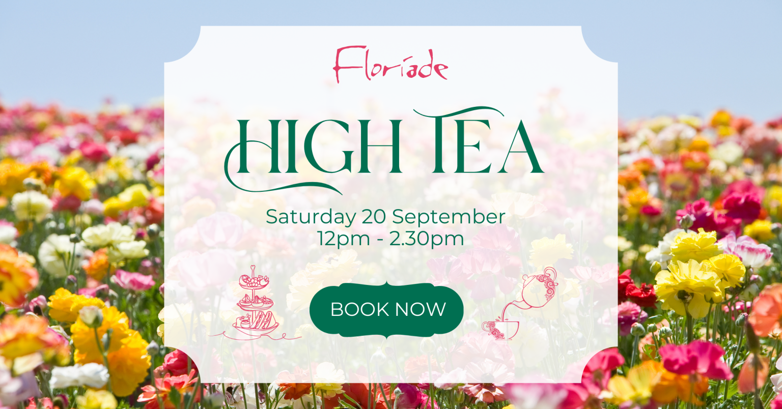 Things to do in Canberra this week (19 - 25 September) | Region Canberra